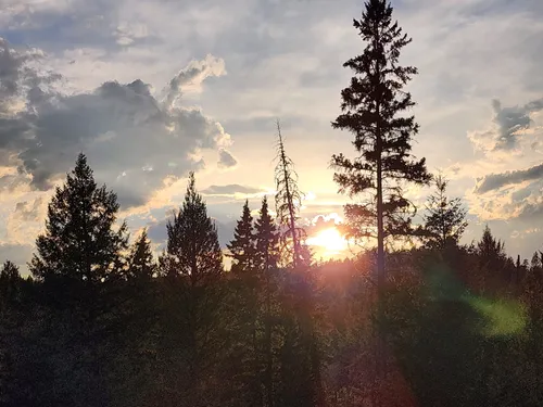 2023 Best Camping Trails in Capitol State Forest | AllTrails