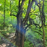 Farmdale Recreation Area Trail, Illinois - 828 Reviews, Map | AllTrails