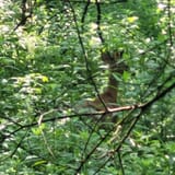 Farmdale Recreation Area Trail, Illinois - 917 Reviews, Map | AllTrails