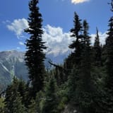 Silver Forest Trail, Washington - 417 Reviews, Map | AllTrails