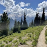 Silver Forest Trail, Washington - 417 Reviews, Map | AllTrails