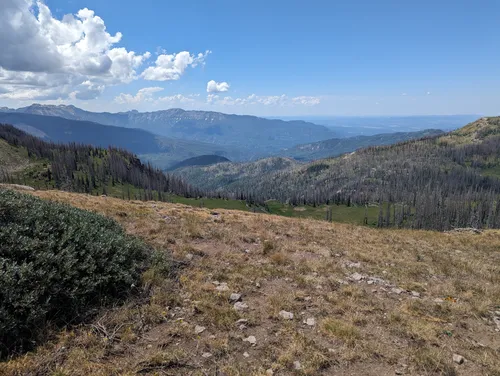 10 Best Trails and Hikes in South Fork | AllTrails