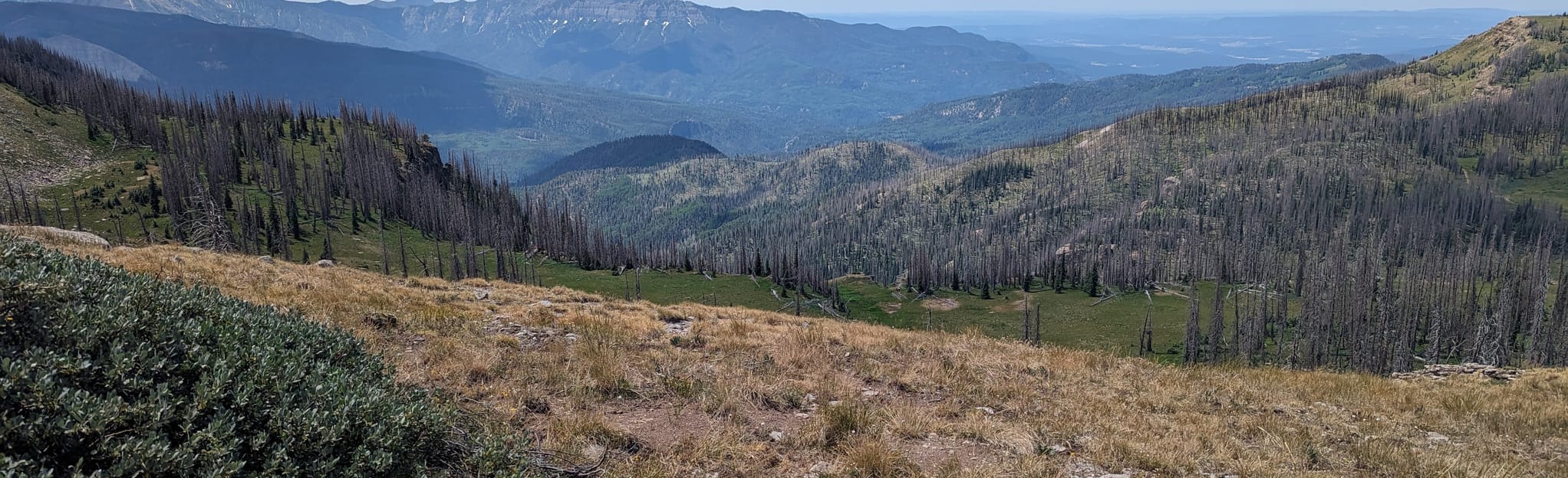 Alberta Peak: Continental Divide National Scenic Trail, Colorado - 664 ...