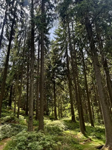 10 Best Historic Site Trails in Chráněná krajinná oblast (CHKO ...