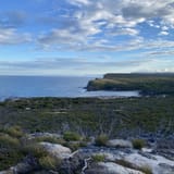 The Coast Track, New South Wales, Australia - 361 Reviews, Map | AllTrails