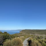 The Coast Track, New South Wales, Australia - 361 Reviews, Map | AllTrails