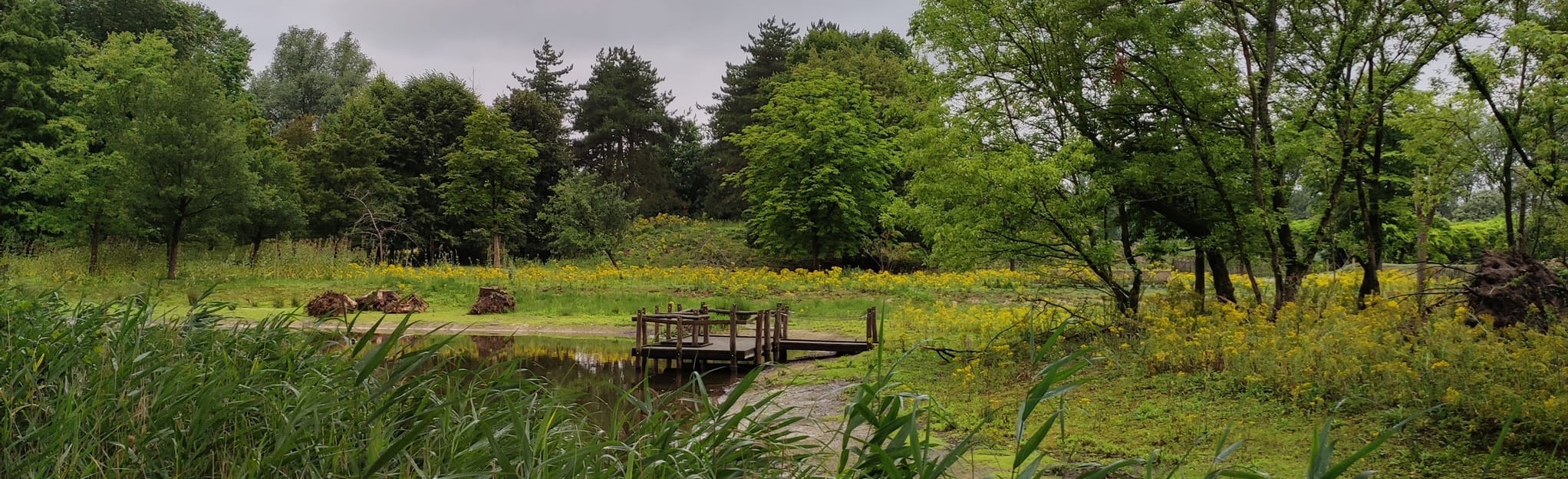Puyenbroeck - Geel, East Flanders, Belgium - 16 Reviews, Map | AllTrails