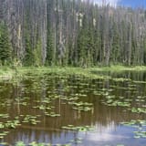 Fehr Lake Trail, Utah - 507 Reviews, Map | AllTrails