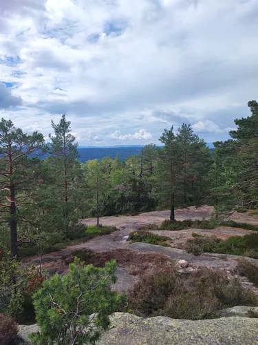 2023 Best Lake Trails in Blåfjell naturreservat | AllTrails