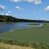 Buzzard Swamp Loop Trail, Pennsylvania - 85 Reviews, Map | AllTrails