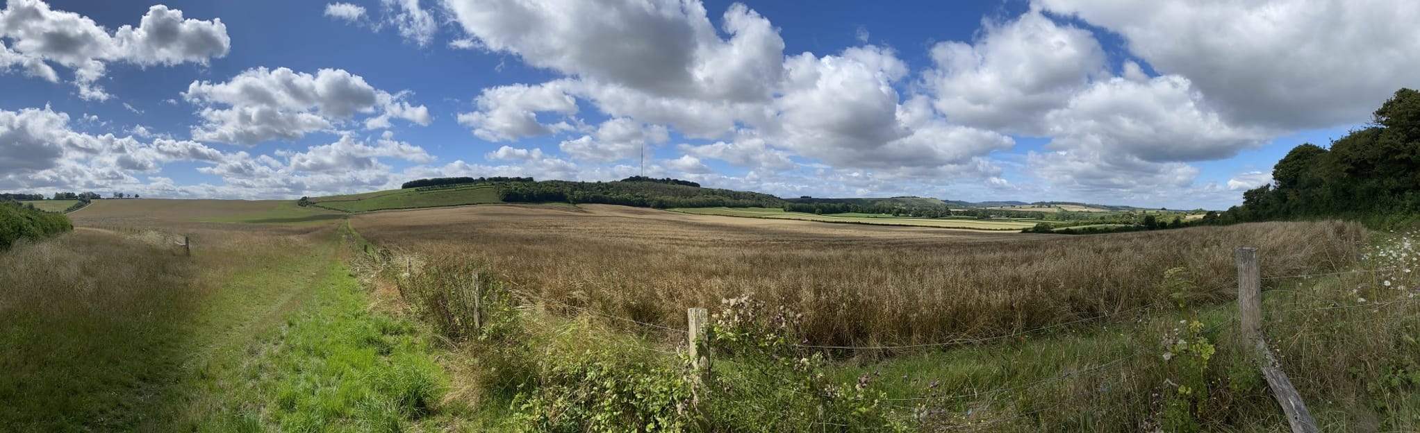 Kingsclere and Freemantle Park Down: 197 Fotos - Hampshire, England ...