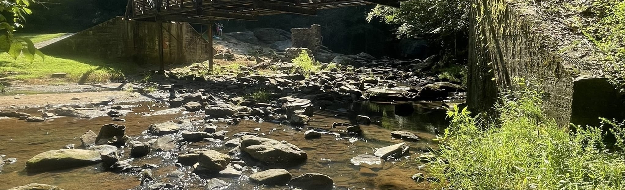 Cochran Mill Loop 1: 62 Reviews, Map - Georgia | AllTrails