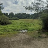 BPA Trail, Washington - 449 Reviews, Map | AllTrails