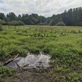 BPA Trail, Washington - 449 Reviews, Map | AllTrails