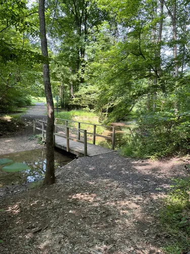 Best Hikes and Trails in Randolph Woods | AllTrails