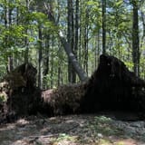 Catamount Hill Trail and One Mile Trail Loop, New Hampshire - 619 ...