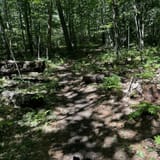Catamount Hill Trail and One Mile Trail Loop, New Hampshire - 619 ...