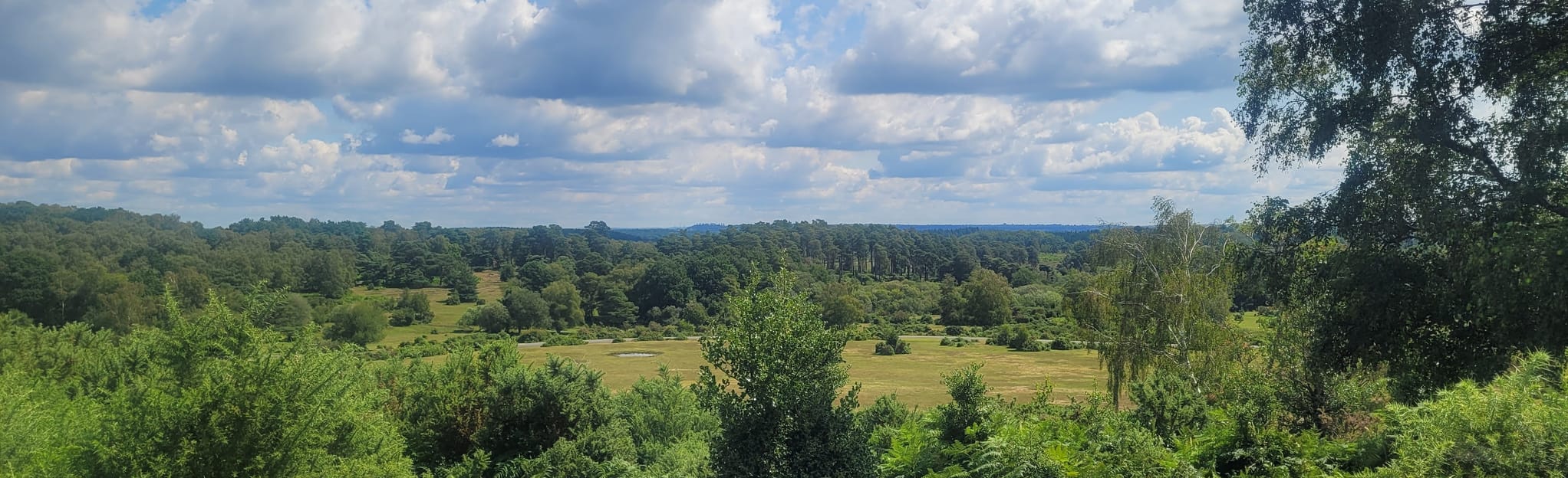 Cadnam Common Circular, Hampshire, England - 18 Reviews, Map | AllTrails