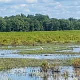 Liberty Loop Trail, New York - 416 Reviews, Map | AllTrails