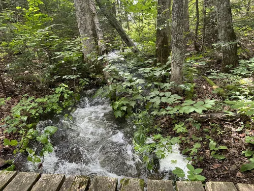 Best Hikes and Trails in Messines | AllTrails