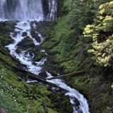 Linton Lake Trail, Oregon - 224 Reviews, Map | AllTrails