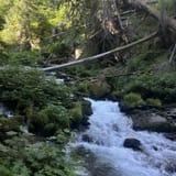 Linton Lake Trail, Oregon - 224 Reviews, Map | AllTrails