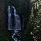 Linton Lake Trail, Oregon - 224 Reviews, Map | AllTrails