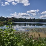 Paradise Park Loop, Vermont - 224 Reviews, Map | AllTrails