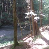 Paradise Park Loop, Vermont - 224 Reviews, Map | AllTrails