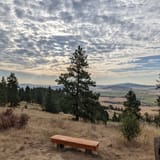 Kamiak Butte Trail, Washington - 735 Reviews, Map | AllTrails
