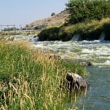 Link River Trail, Oregon - 480 Reviews, Map | AllTrails