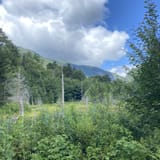 Barnes Camp Loop, Vermont - 456 Reviews, Map | AllTrails