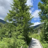 Barnes Camp Loop, Vermont - 456 Reviews, Map | AllTrails