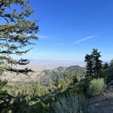 Bogus Basin Loop Trail, Idaho - 252 Reviews, Map | AllTrails