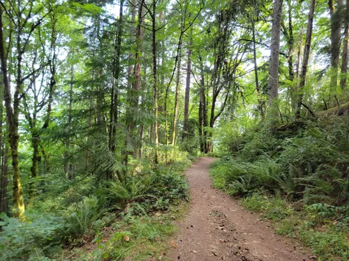 10 Best Trails and Hikes in Issaquah | AllTrails