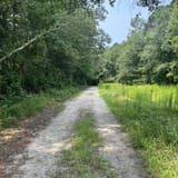 Redden State Forest Loop, Delaware - 368 Reviews, Map | AllTrails