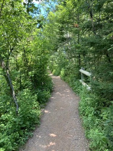 10 Best Hikes and Trails in Prince Edward Island National Park | AllTrails