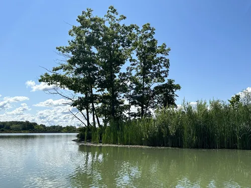 Best Hikes and Trails in Binbrook Conservation Area | AllTrails