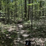 Catamount Hill Trail and One Mile Trail Loop, New Hampshire - 620 ...