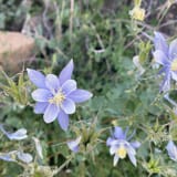 Clark Lake Loop Trail, Utah - 92 Reviews, Map | AllTrails