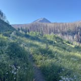 Clark Lake Loop Trail, Utah - 92 Reviews, Map | AllTrails
