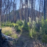 Clark Lake Loop Trail, Utah - 81 Reviews, Map | AllTrails