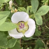 Clark Lake Loop Trail, Utah - 92 Reviews, Map | AllTrails