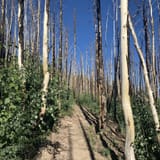 Clark Lake Loop Trail, Utah - 92 Reviews, Map | AllTrails