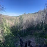 Clark Lake Loop Trail, Utah - 92 Reviews, Map | AllTrails