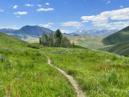 2023 Best 10 Trails and Hikes in Sun Valley | AllTrails