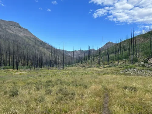 10 Best Backpacking Trails in Rio Grande National Forest, Divide Ranger ...