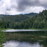 Deer Lake Trail, Washington - 707 Reviews, Map | AllTrails