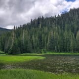 Deer Lake Trail, Washington - 707 Reviews, Map | AllTrails