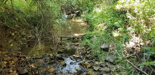 Best Hikes and Trails in George Lorimer Preserve | AllTrails